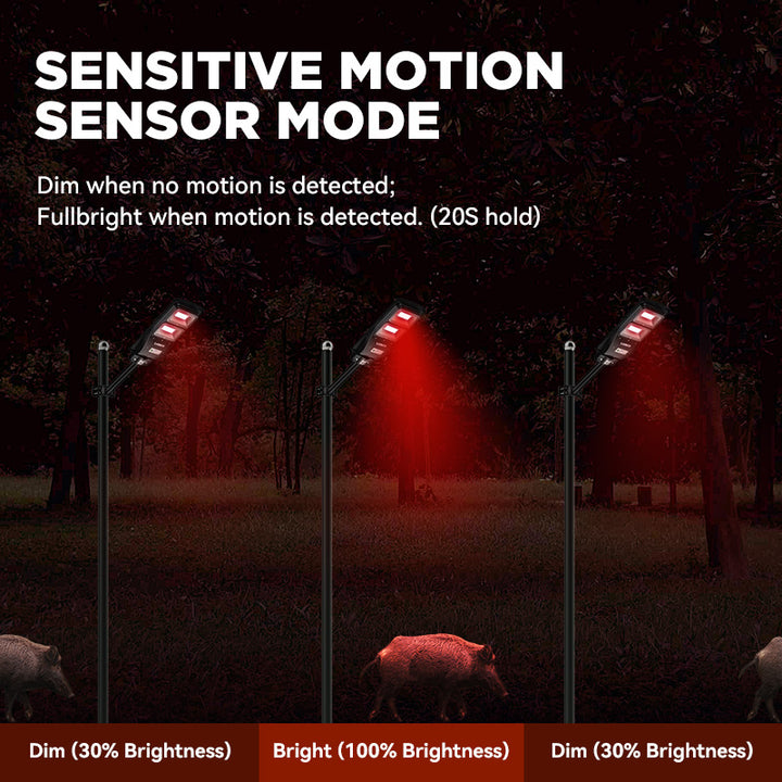 Solar red Light for Hunting Hogs Deers,Fish light,motion active ...